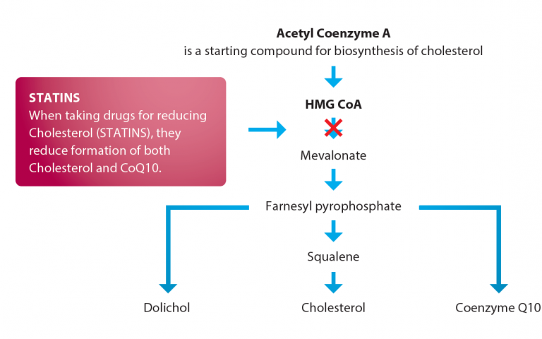 Health benefits | Q10Vital